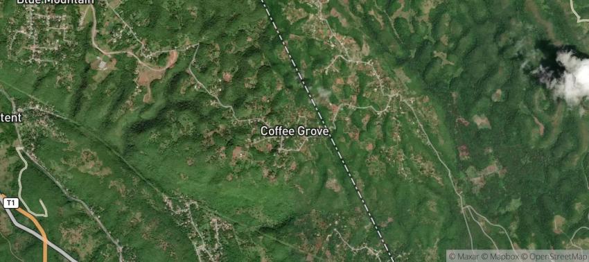 Coffee Grove (Manchester, Jamaica) | InJamaica