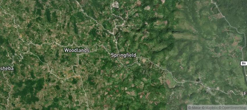Springfield (St Elizabeth, Jamaica) | InJamaica