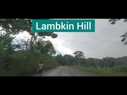 Lambkin Hill, St Mary, Jamaica | InJamaica